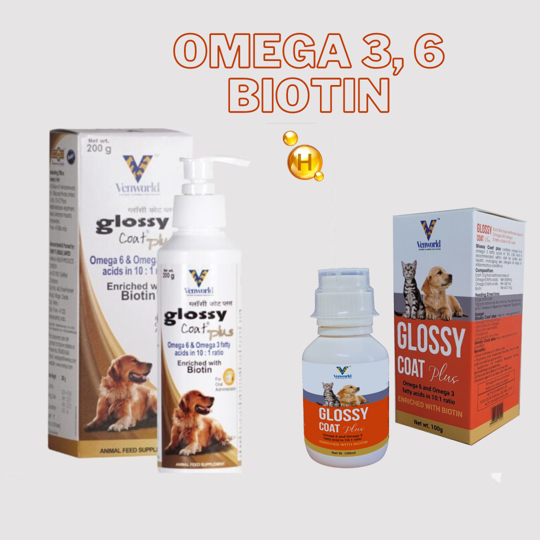 CÔNG TY TNHH XUẤT NHẬP KHẨU HDSG